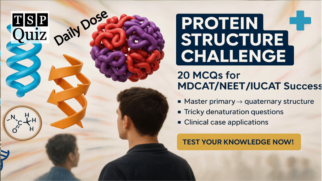 Structure of Proteins Quiz – Medical Prep - The Scholar Post